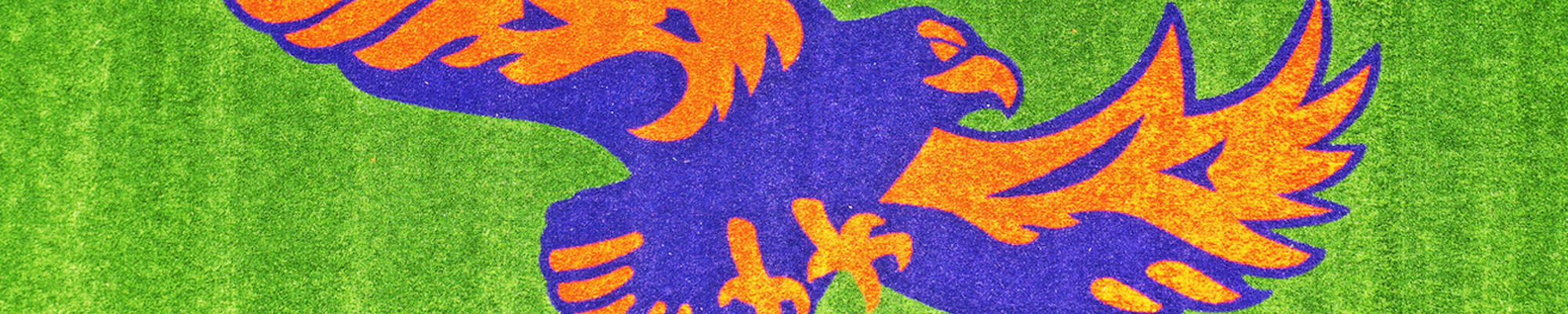 Artificial Turf Denver looks and feels like real grass.